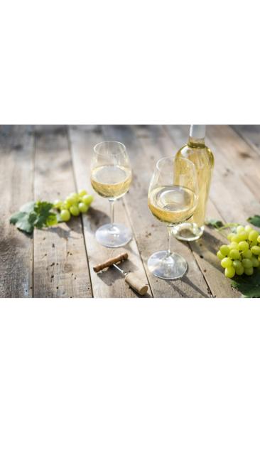 Waarom heet een 'droge wijn' een droge wijn? | Wijnen | Wijnhandel ...